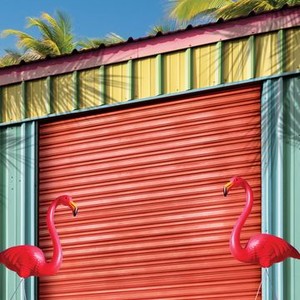 Storage Wars: Miami - Rotten Tomatoes