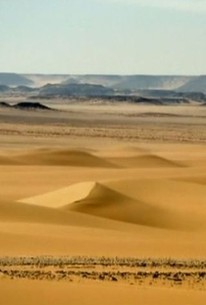 Fearless Planet: Season 1, Episode 4 | Rotten Tomatoes