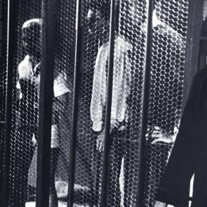 Teenage Zombies - Rotten Tomatoes