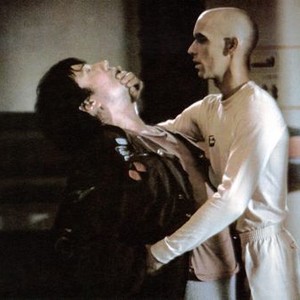 Don Opper - Rotten Tomatoes