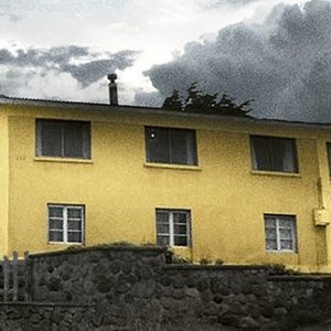 The Club - Rotten Tomatoes