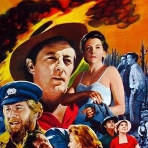 The Sundowners - Rotten Tomatoes