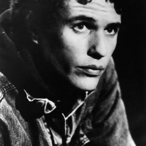 Tom Berenger - Rotten Tomatoes