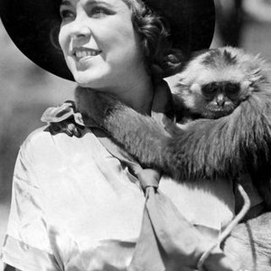 Baboona - Rotten Tomatoes