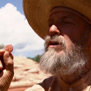 David Holladay - Rotten Tomatoes