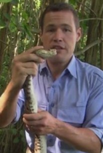 The Jeff Corwin Experience: Season 3, Episode 3 | Rotten Tomatoes