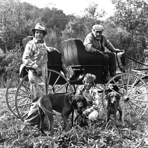 Stewart Petersen - Rotten Tomatoes