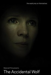 The Accidental Wolf: Season 1 | Rotten Tomatoes