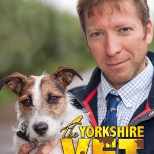 The Yorkshire Vet - Rotten Tomatoes