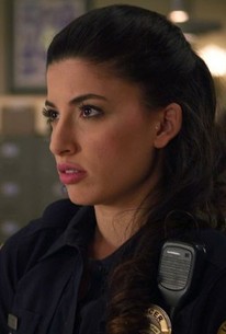 Death Valley: Season 1, Episode 5 | Rotten Tomatoes