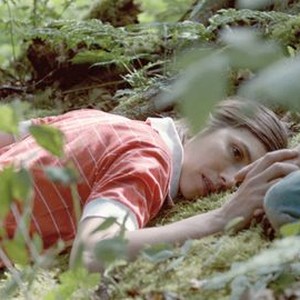 The Dreamed Path - Rotten Tomatoes