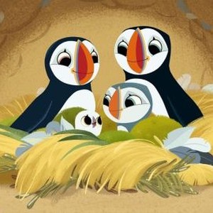 Puffin Rock - Rotten Tomatoes