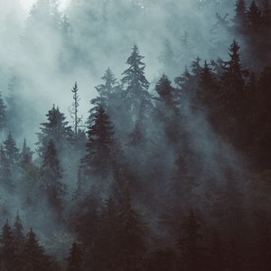 Cyan Eye - Rotten Tomatoes