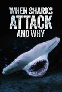 When Sharks Attack... and Why | Rotten Tomatoes