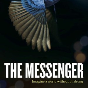 The Messenger - Rotten Tomatoes
