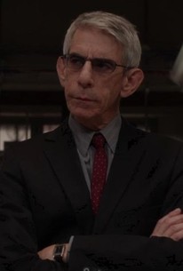 Law & Order: Special Victims Unit: Season 13, Episode 8 | Rotten Tomatoes