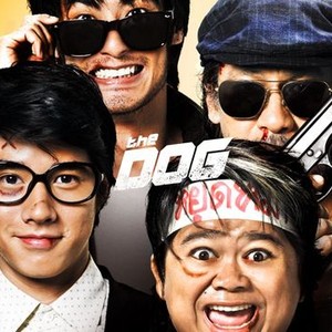 The Dog - Rotten Tomatoes