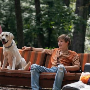 Dog Gone - Rotten Tomatoes