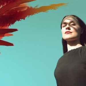 Phoenix Rising - Rotten Tomatoes