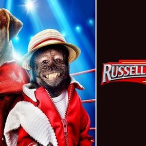 Russell Madness - Rotten Tomatoes