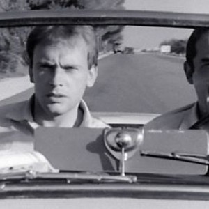 The Easy Life - Rotten Tomatoes