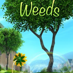 Weeds - Rotten Tomatoes