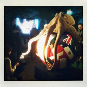 The Life and Times of Paul the Psychic Octopus - Rotten Tomatoes