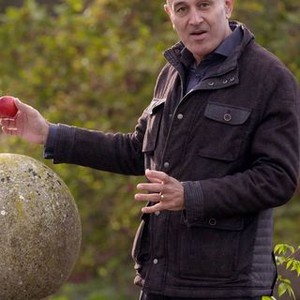 The Amazing World of Gravity - Rotten Tomatoes