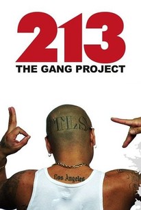 213 The Gang Project | Rotten Tomatoes