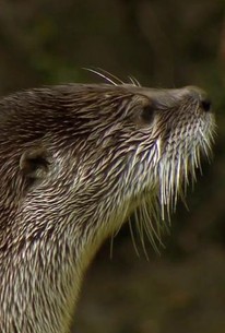 America's National Parks: Season 2, Episode 2 | Rotten Tomatoes