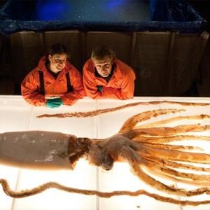 Inside Nature's Giants: Season 2, Episode 4 - Rotten Tomatoes