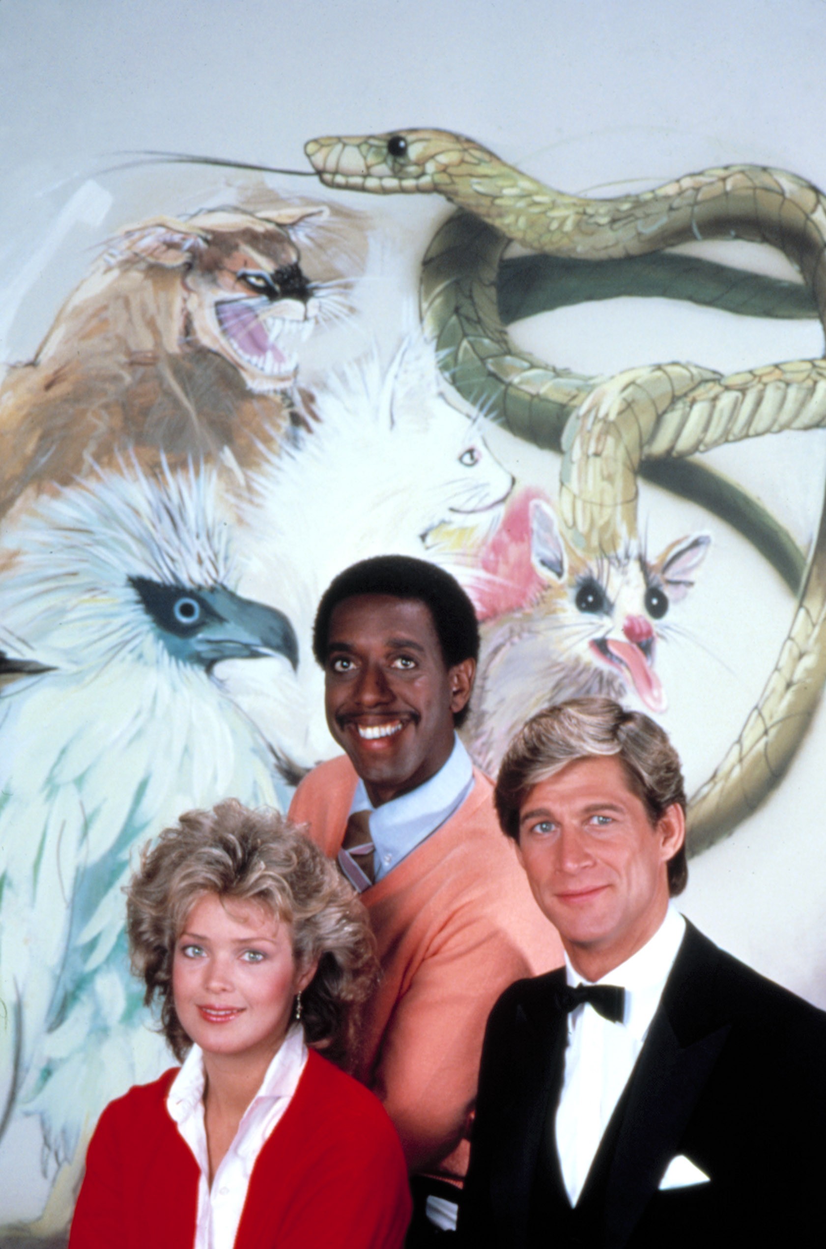 Manimal - Rotten Tomatoes
