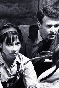 Doctor Who: Season 2, Episode 2 | Rotten Tomatoes