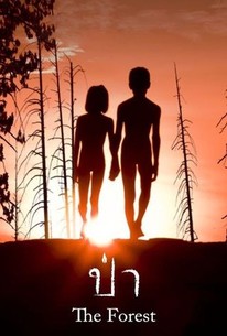 The Forest | Rotten Tomatoes