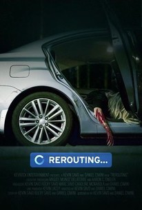 Rerouting | Rotten Tomatoes