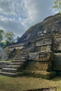 NOVA: Season 48, Episode 25 - Rotten Tomatoes