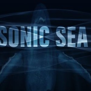 Sonic Sea - Rotten Tomatoes
