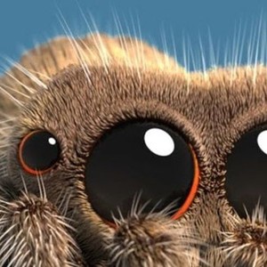 Lucas the Spider - Rotten Tomatoes