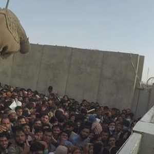 Escape from Kabul - Rotten Tomatoes