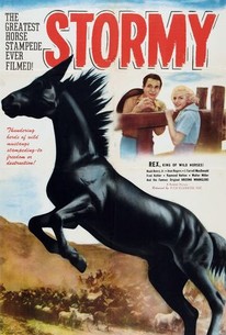 Stormy | Rotten Tomatoes