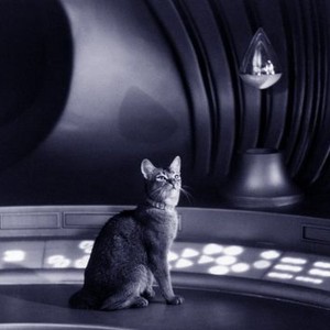 The Cat From Outer Space (1978) - Rotten Tomatoes