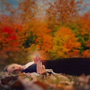 Many Beautiful Things - Rotten Tomatoes