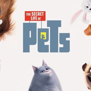 The Secret Life of Pets - Rotten Tomatoes