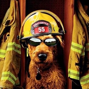 Firehouse Dog - Rotten Tomatoes