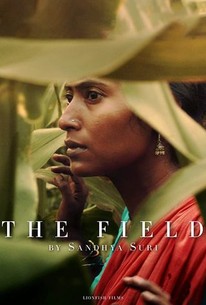 The Field | Rotten Tomatoes