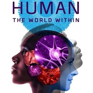 Human: The World Within - Rotten Tomatoes