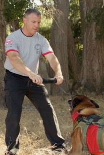 Top dog: Season 1, Episode 9 | Rotten Tomatoes