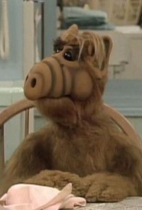 ALF: Season 1, Episode 8 | Rotten Tomatoes