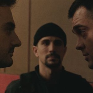 Poppy Field - Rotten Tomatoes