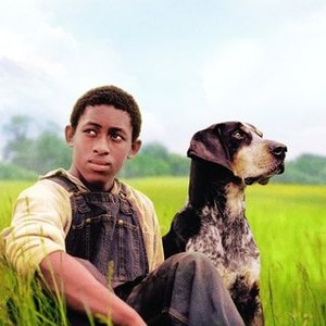 Sounder - Rotten Tomatoes